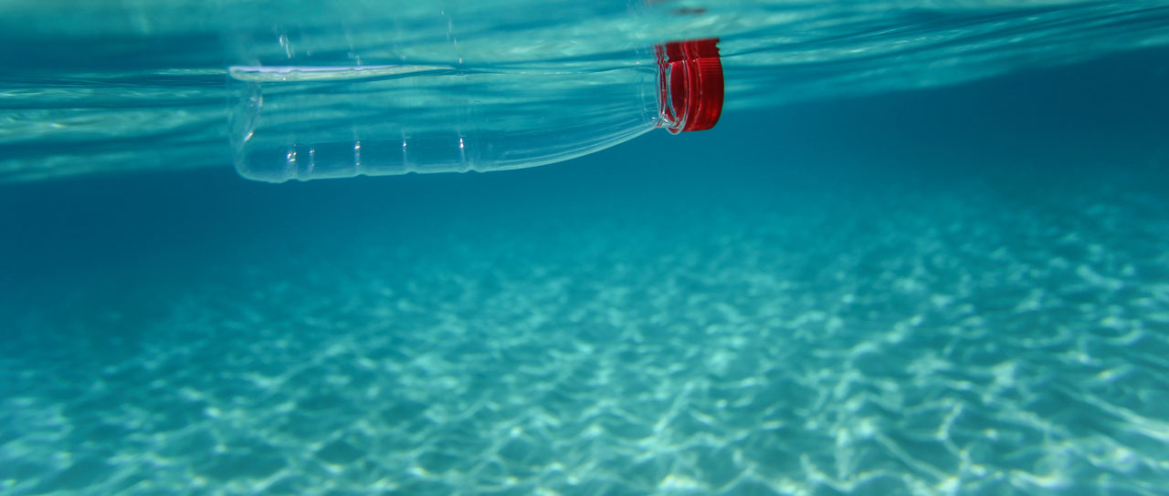 Home - Oraro & Company Advocates