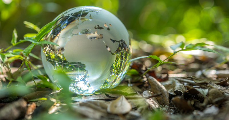COP29’s Stocktake on Climate Commitments: Transforming the Legal and ...
